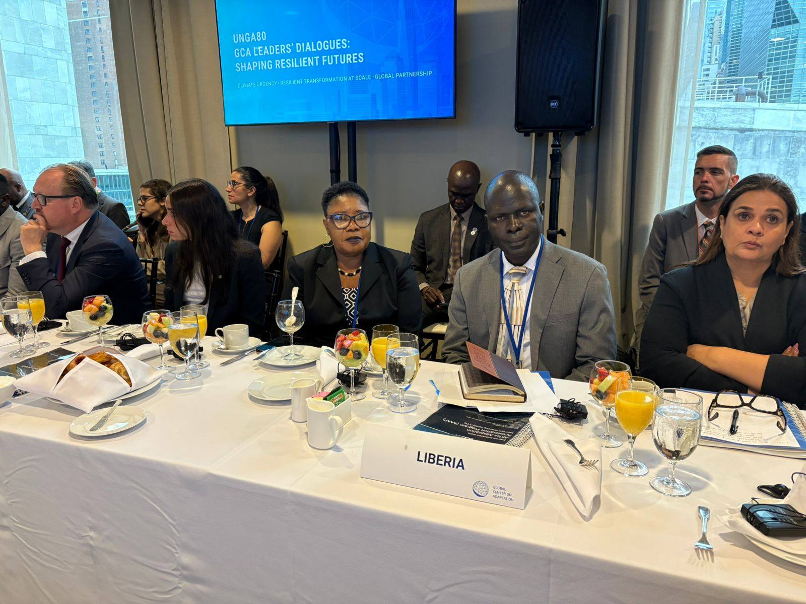 “Liberia Needs Adaptation Support Now” EPA Executive Director Tells UN – Liberia Environmental ...